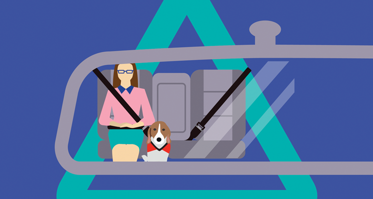 Guide Dogs - Carrot Cars Drivers